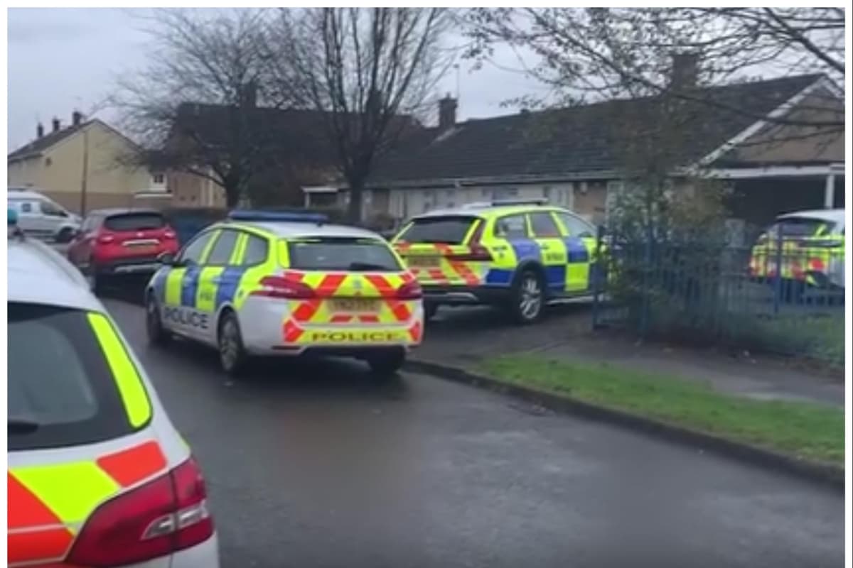 Watch The Video Police Find Cannabis Plants In Doncaster Drugs Raid