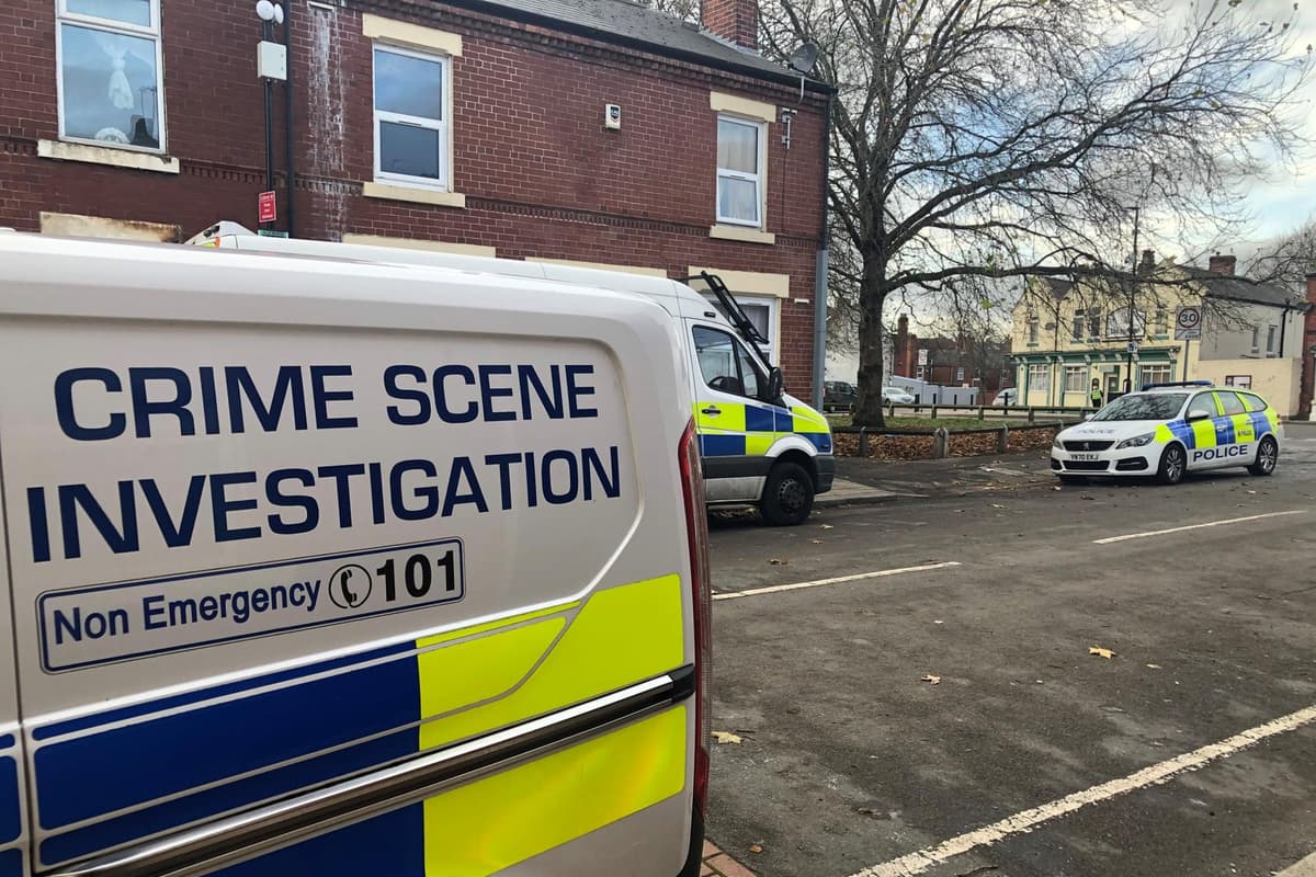 Man Arrested And 500 Cannabis Plants Seized Following String Of