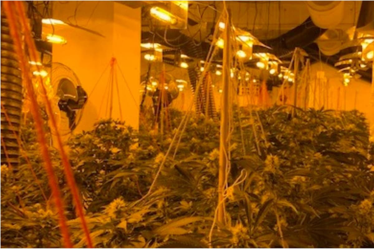 Man Arrested Over Doncaster Cannabis Farm Is Treated As Possible Victim