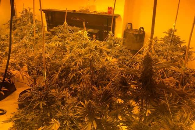 Update Police Raid Doncaster House And Discover Significant Quantity