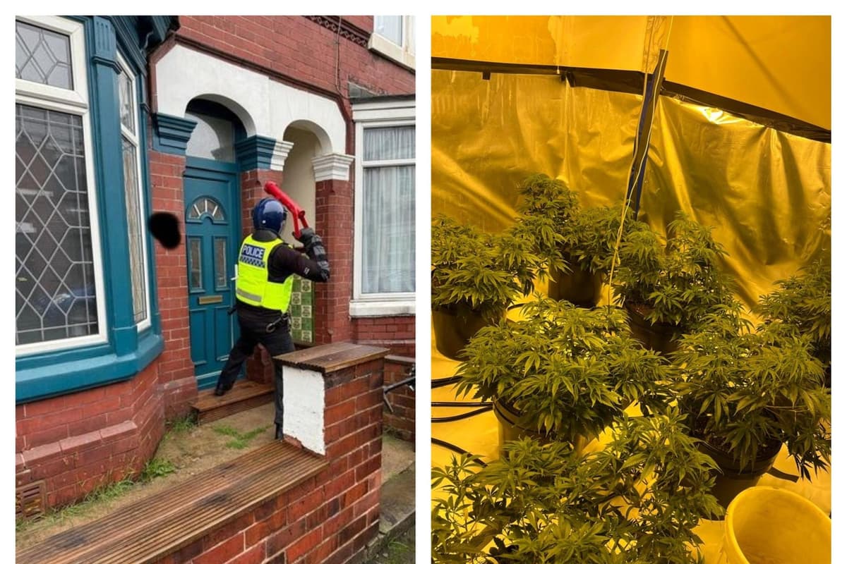 Watch The Video Dramatic Moment Police Stormed Doncaster Cannabis Factory