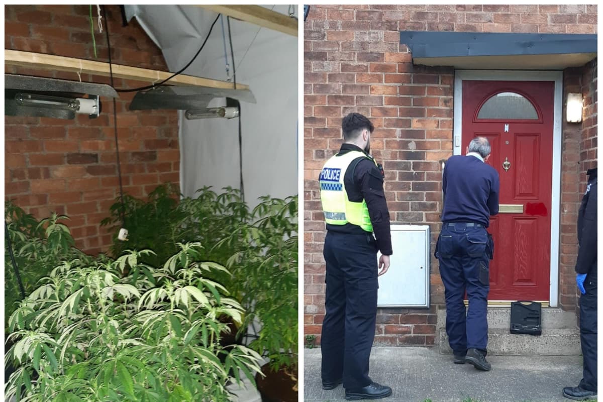 Man Arrested And £19 000 Of Cannabis Seized As Police Bust Doncaster
