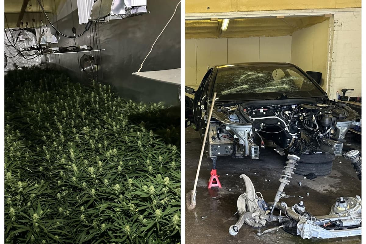 Police Find Stolen Vehicles And Cannabis Plants In Doncaster Chop Shop